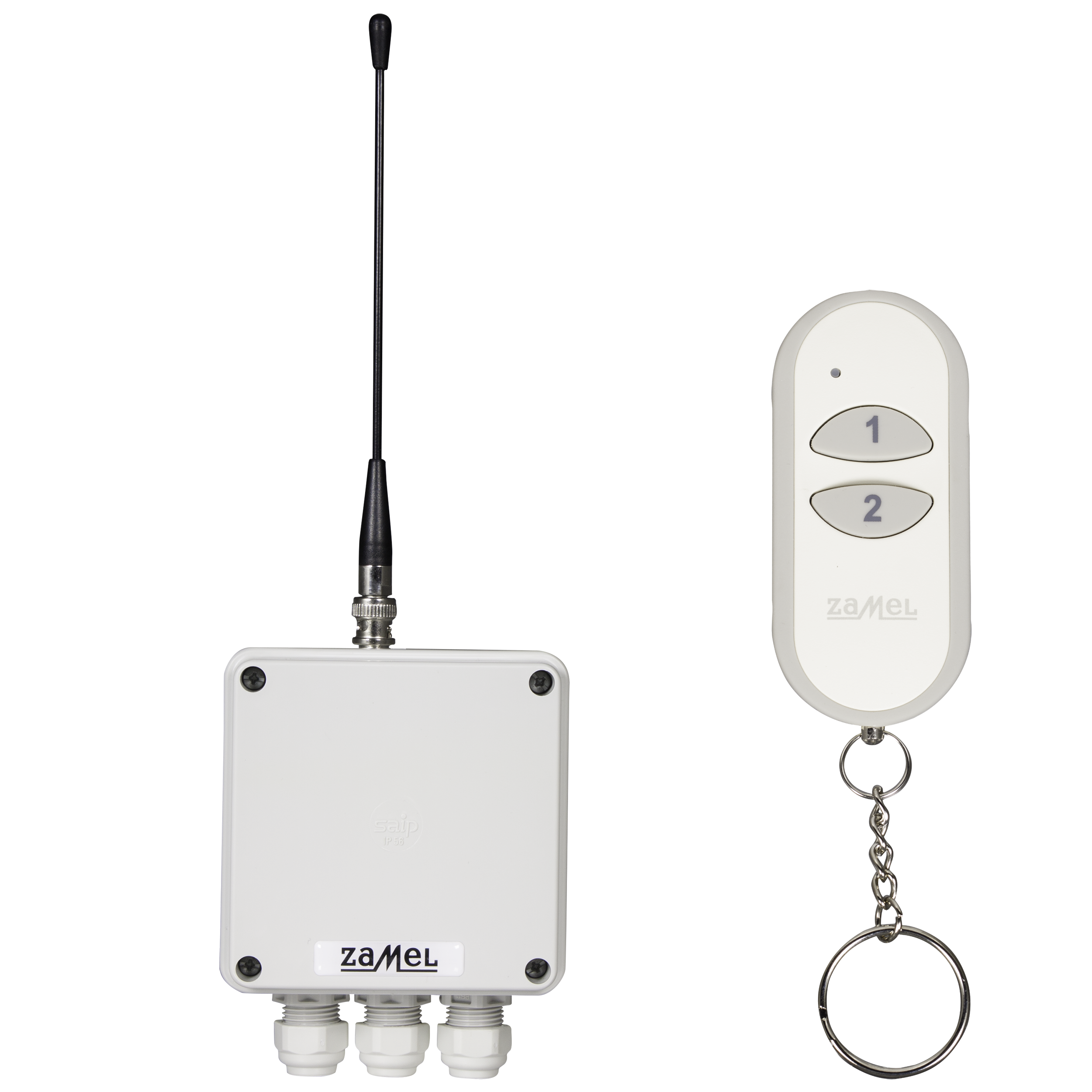 RADIO POWER SWITCH TWO-CHANNEL RECEIVER (SET WITH REMOTE CONTROLLER ...